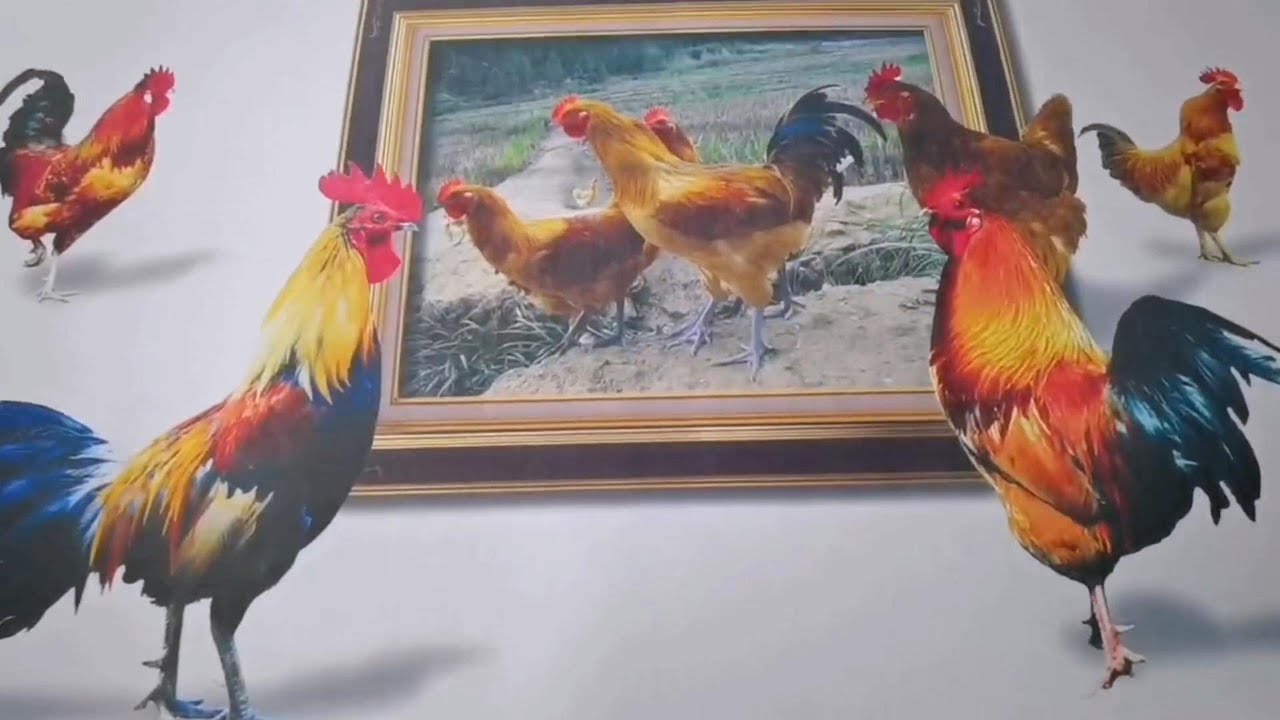 Corrugated cardboard printer with 4 HPX552 print heads | Speed 0-48m/min