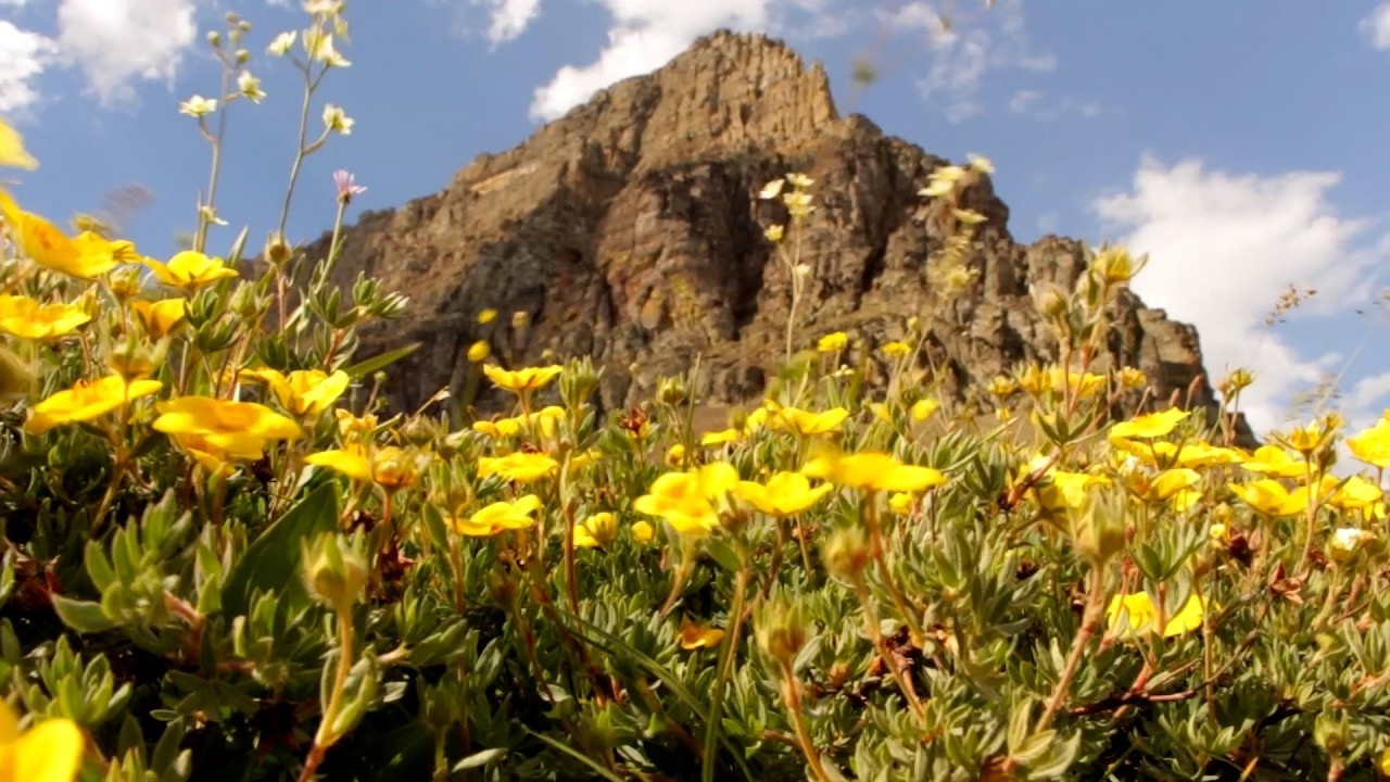 Spring Along the Western Slope, Instrumental Acoustic Indie/Folk Playlist Chill Music Open Road Folk