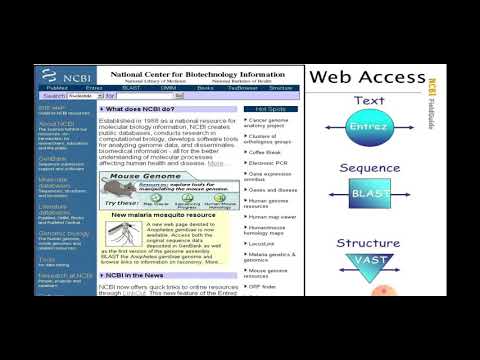 Use of modern ICT in medicine Special medical programs