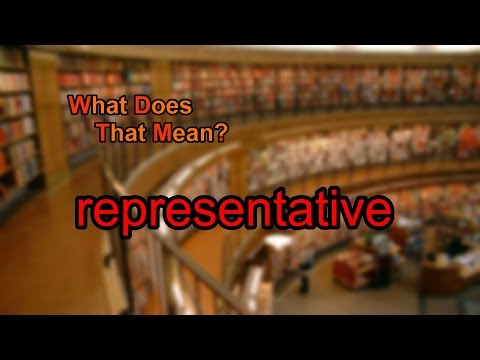 What does representative mean?
