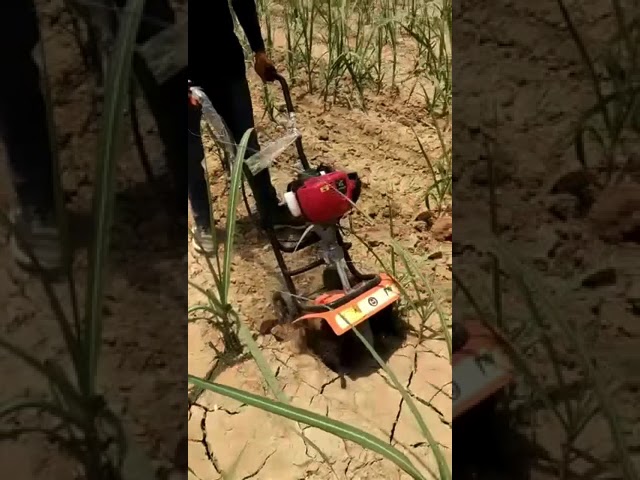 Power Weeder - Mini Power Weeder Cultivator/ Mini Weeder Cum Tiller ...