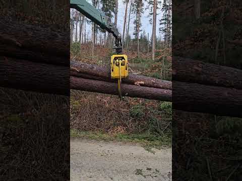 HSM 208Z 8WD Zangenskidder @Forstbetrieb Aichholz