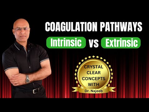 Intrinsic and Extrinsic Pathway of Coagulation | Hematology👨⚕️