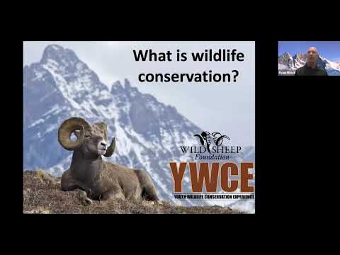 21 - YWCE - What is Wildlife Conservation