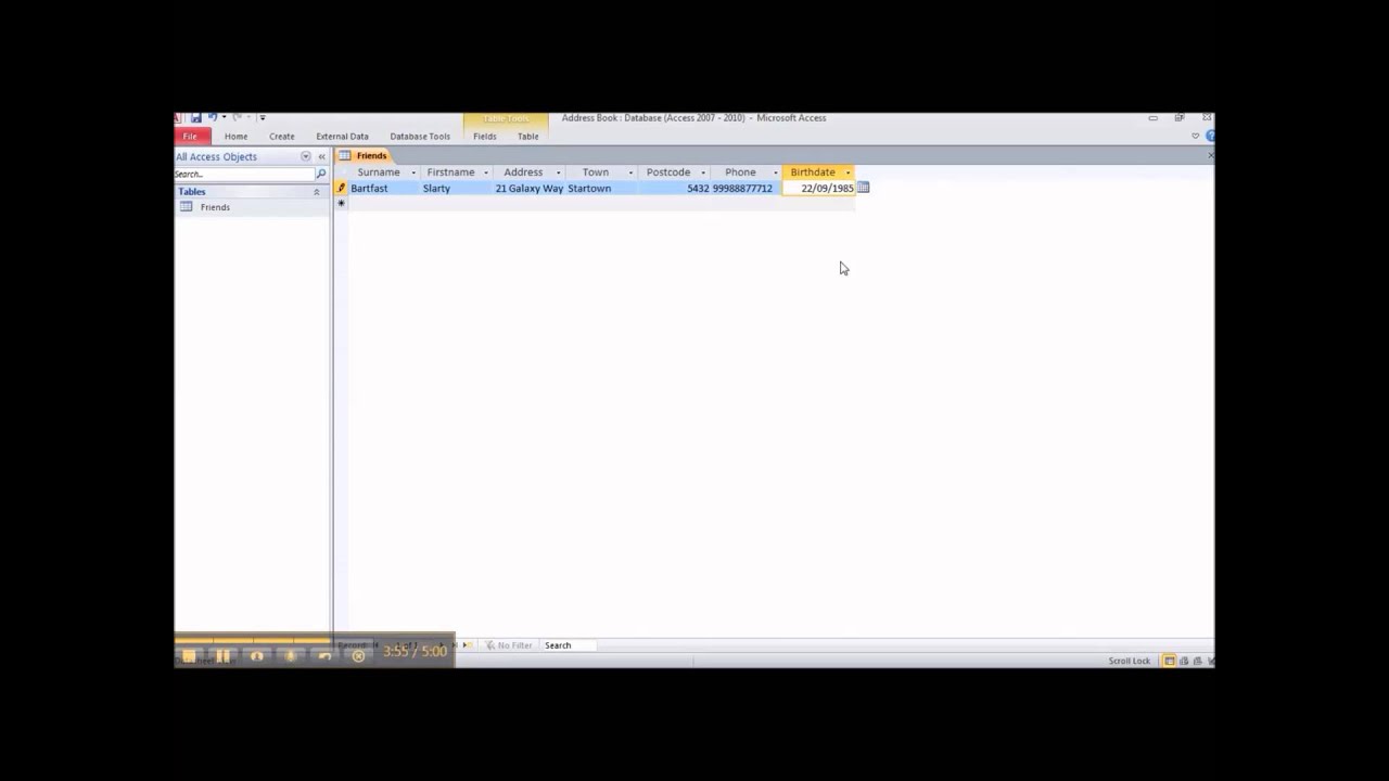 Entering Data into a simple flat file database table