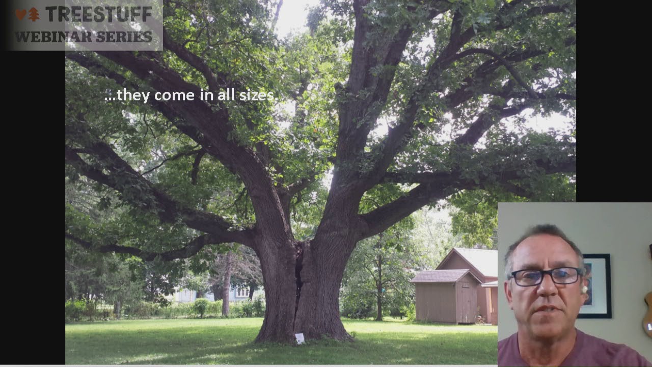 Problem Solving for Pruning Webinar with Lindsey Purcell