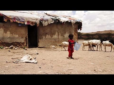 Somalia: la sequía extrema pone al país al borde de la hambruna