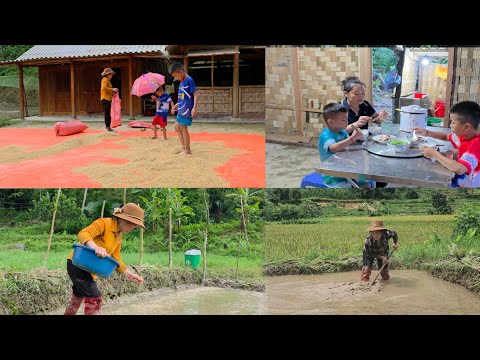 land preparation and sowing of new rice crop in 2025 .DANG THI DU