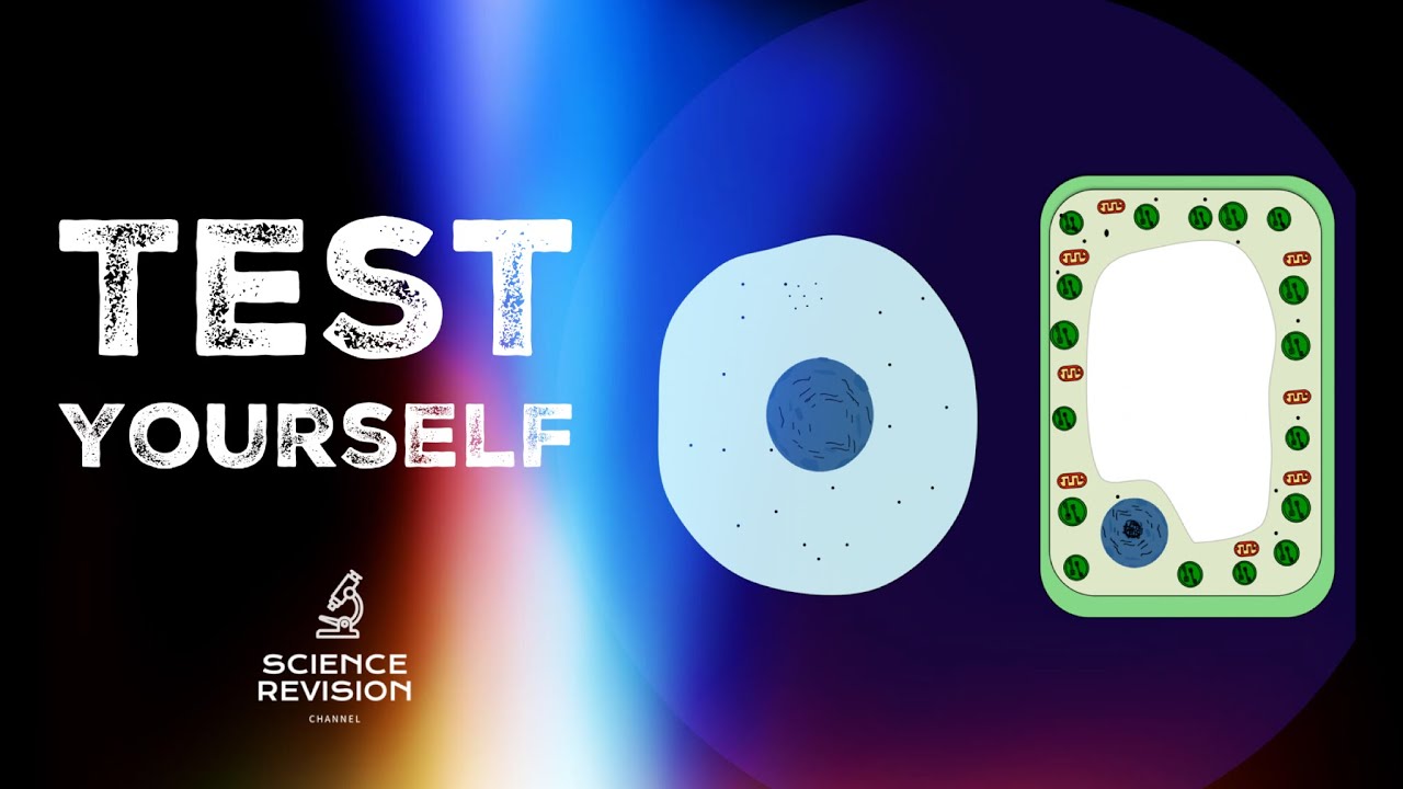 GCSE Science Biology - Animal and Plant Cells - Test Yourself