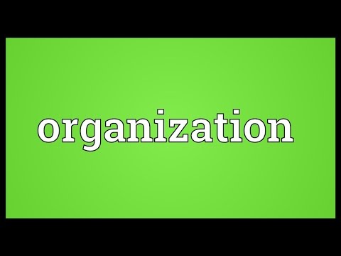 Organization Meaning