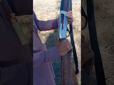 Review of Mavaric shotgun 12 bore Turkey made | Best Turkey made M1 shotgun 12 gauge for hunting