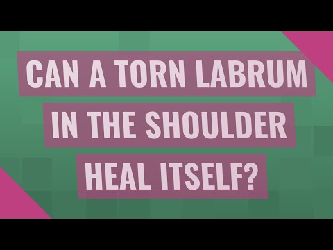 Can a torn labrum in the shoulder heal itself?