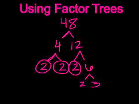 Prime Factorization