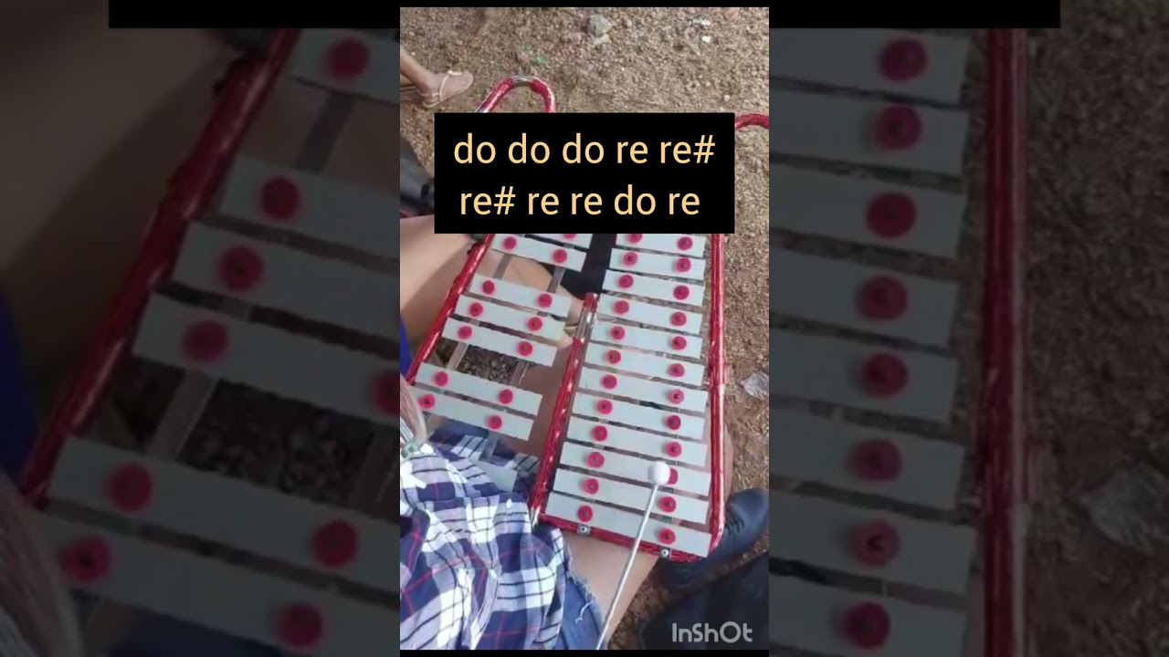 COMO TOCAR EL SOLO SOLO ( tutorial para lira ) MC.