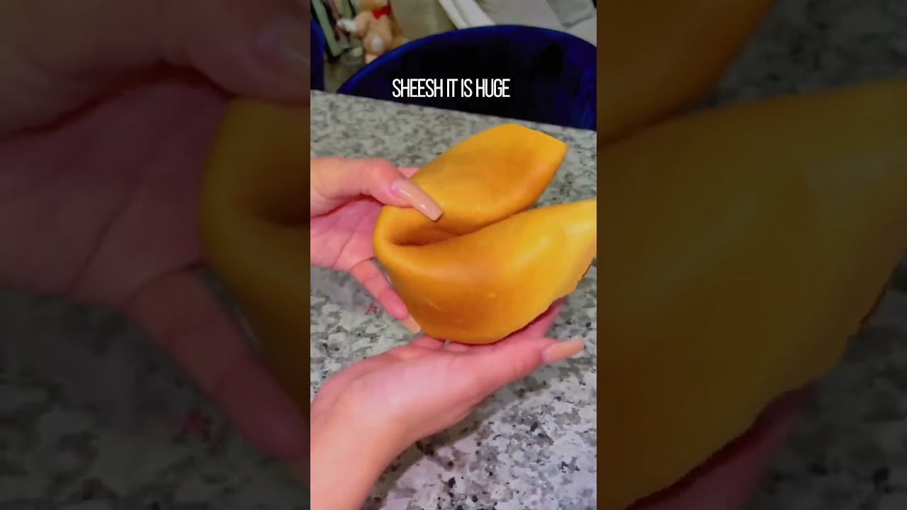 GIANT FORTUNE COOKIE