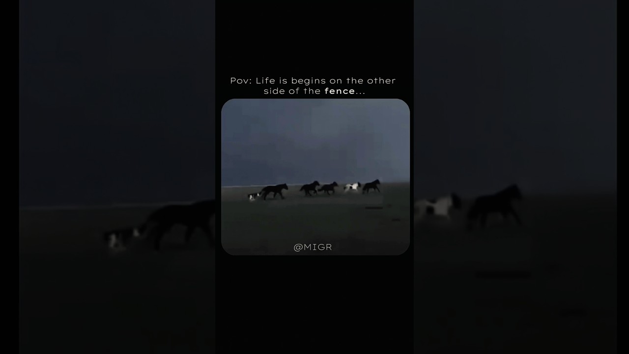 Life Begins Beyond the Fence #motivation