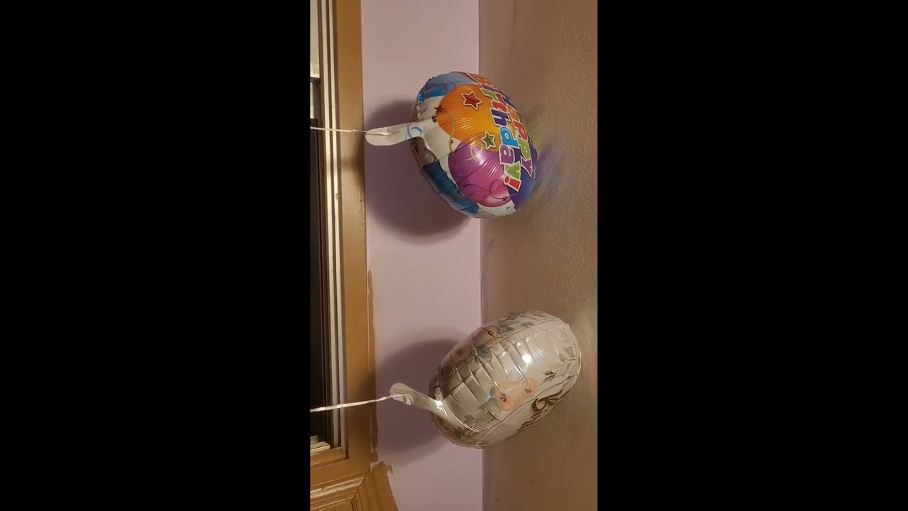 dollar tree birthday balloon recommendations 5 days plus few hours later! #dollartree #balloon #125