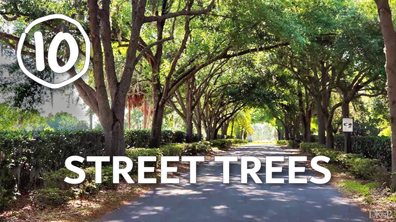 Street Trees  ·  TOWN PLANNING STUFF  ·  Ep 10