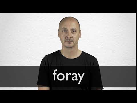 FORAY definition in American English | Collins English Dictionary