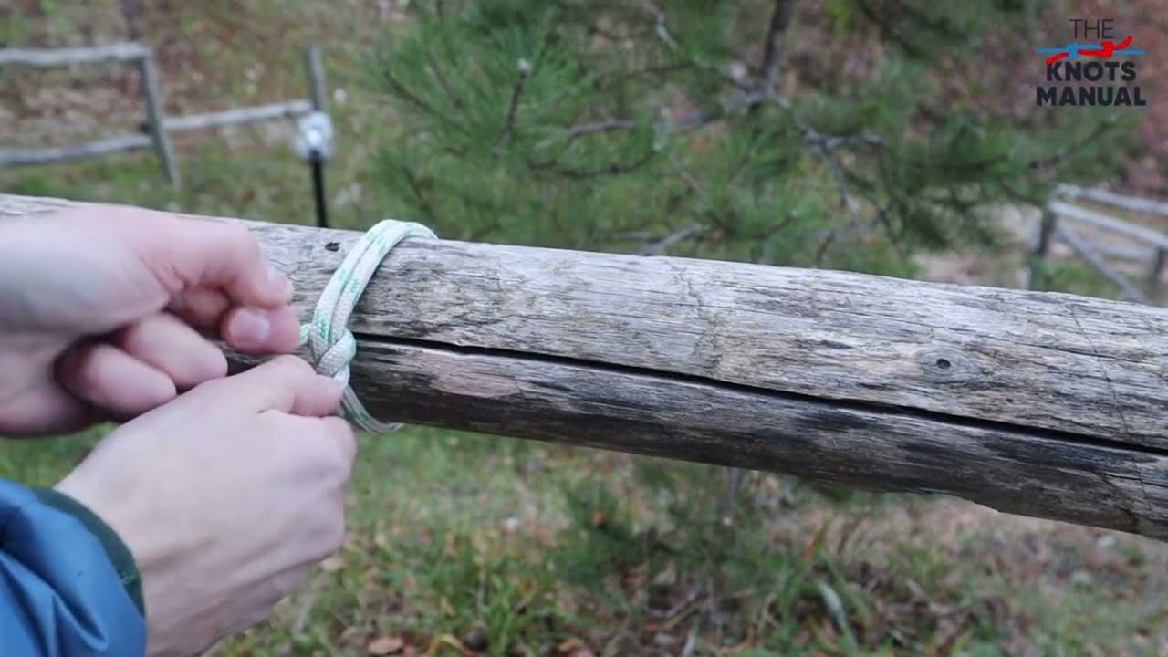Top 13 Arborist Knots Every Tree Climber Should Know