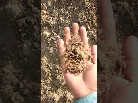 Coarse Sand - Sharp Sand Latest Price, Manufacturers & Suppliers