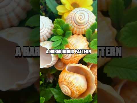 The Symphonic Patterns of Nature