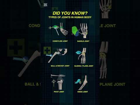 types of synovial joints #education #anatomy #science #biology