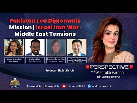 PERSPECTIVE | Pakistan Led Diplomatic Mission | Israel Iran War: Middle East Tensions | 20-06-2025