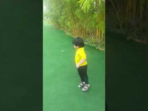Sunny's world, Pune | Best Resort in Pune |Adventure Park | Hilltop Resort