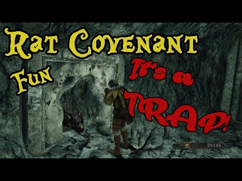 Steam Community :: Video :: Dark Souls 2 - Rat Covenant - The Villain