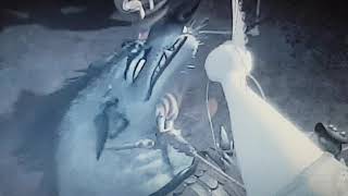 Kung Fu Panda 2 (2011): Lord Shen, Boss Wolf and Soothsayer Screen-Time