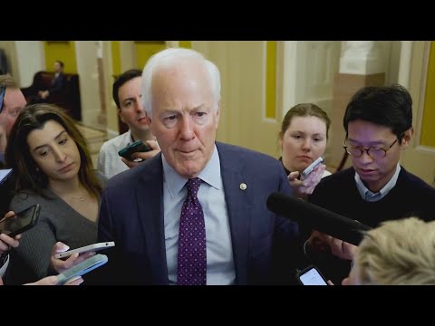 'Are you delusional?': 2026 Texas Senate race heats up