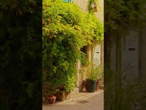 Van Gogh & Arles, France