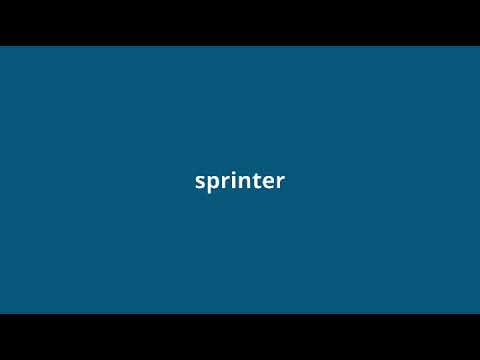 what is the meaning of sprinter.