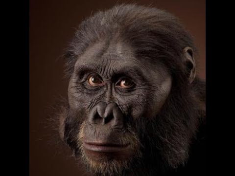 THE MISSING LINK? EVOLUTION V CREATIONISM - THE SCIENCE OF EVOLUTION