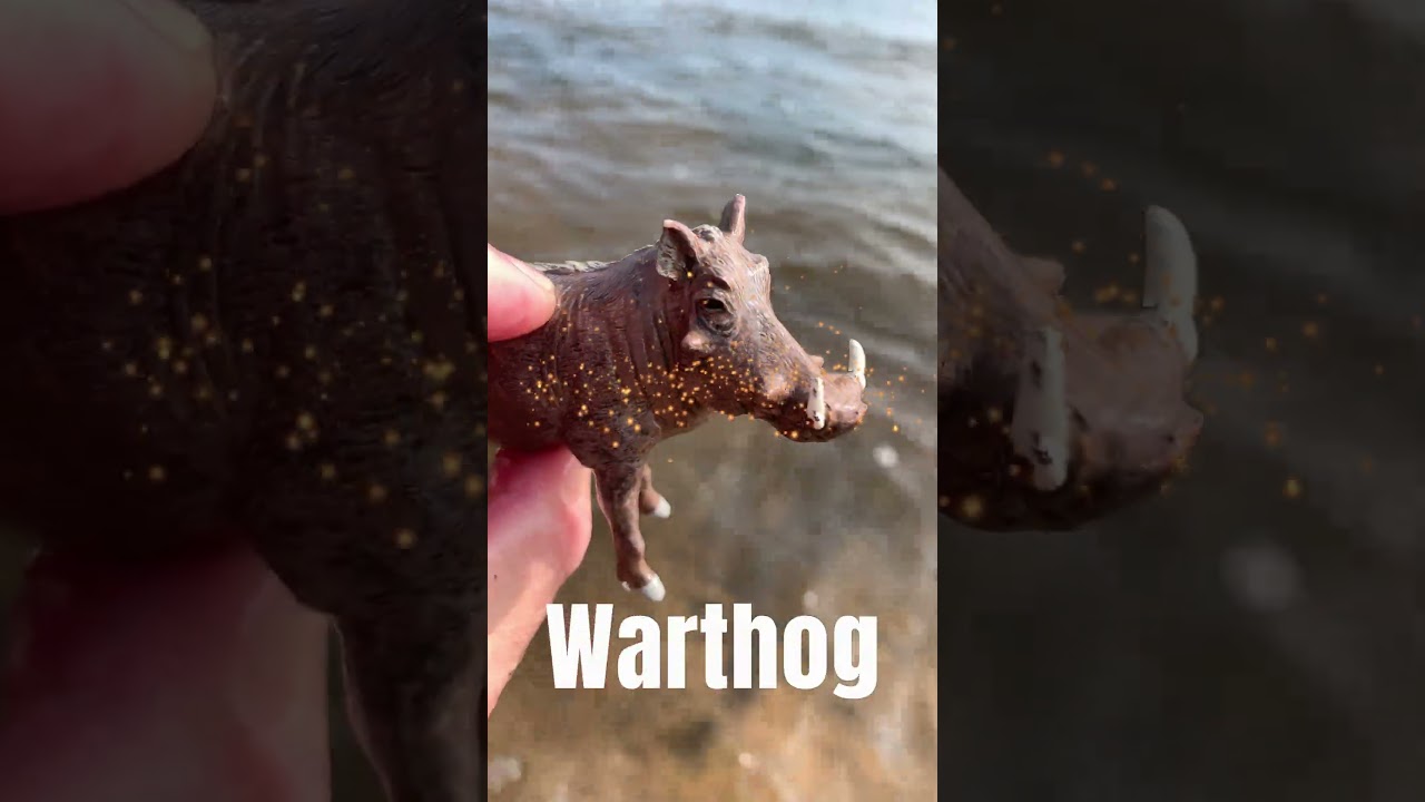 Warthog & Panda Toy Sand Fun!  #KidsLearning