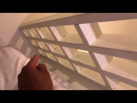 Getting Rid of Bed Bugs Without Spending A lot of Money