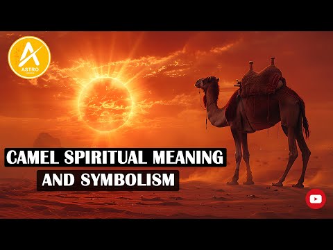 Unlocking the Mysteries of Camel Spirit Animals | Camel spirit animals meanings