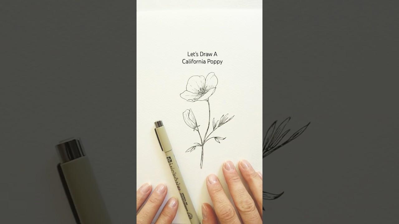 Take five minutes to draw a California Poppy! #flowerdrawing #art #drawing #howtodraw