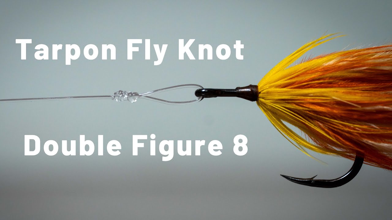 How To Tie: Double Figure 8 | The Best Knot For Tarpon Flies.