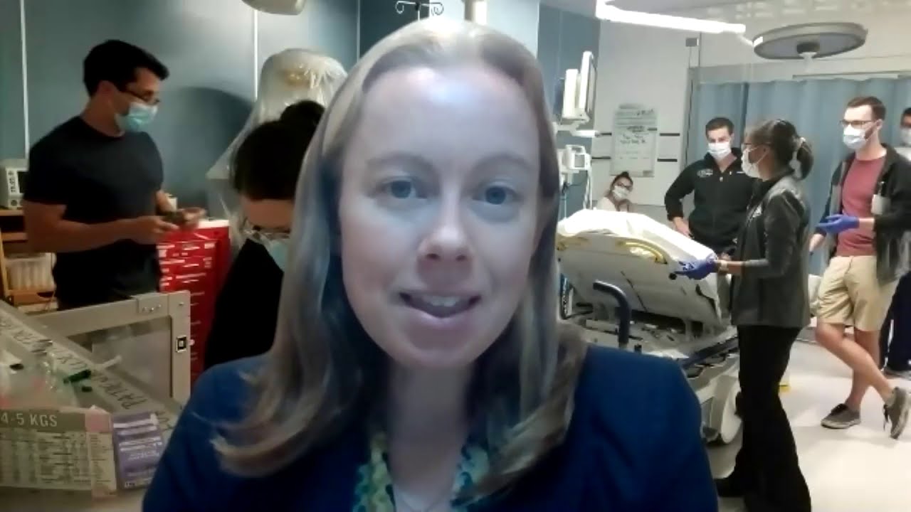 Rush EM Simulation Program