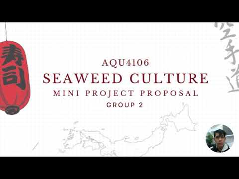 AQU4106 SEAWEED CULTURE (GROUP 2) : SEAWEED BURGER (のりハンバーガー)