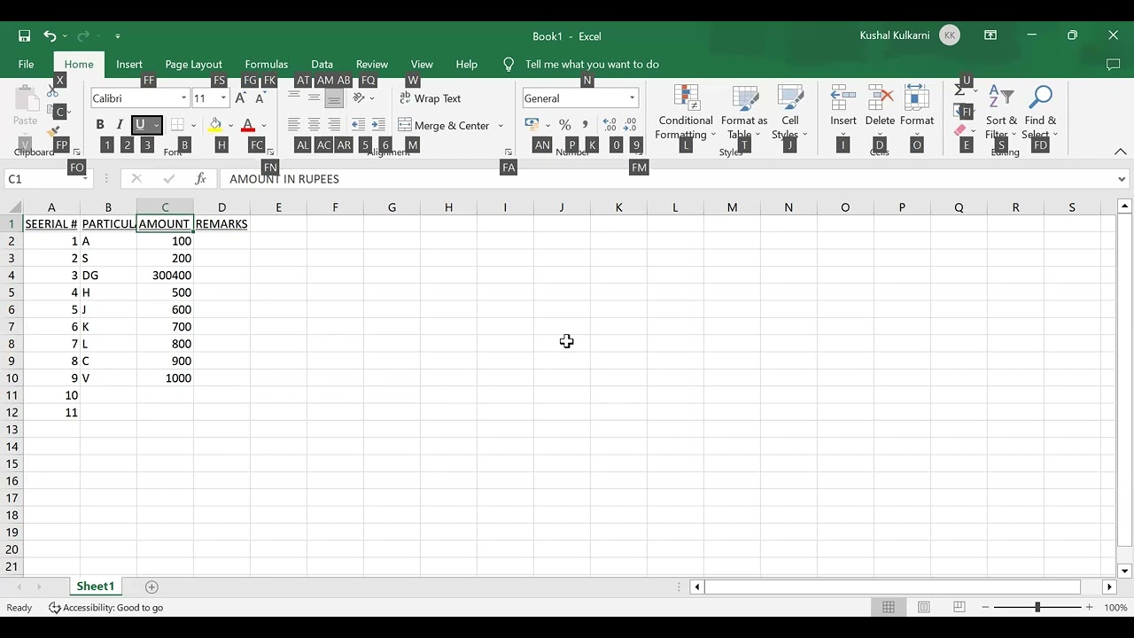 Learning MS Excel Basics with NVDA Beginners