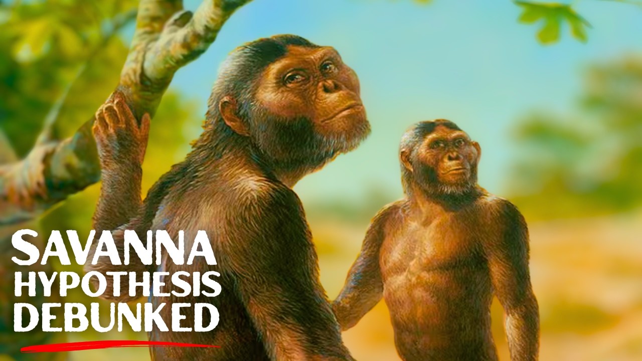 The Real Reason Humans Evolved to Walk Upright