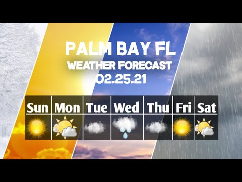 Weather Forecast Palm Bay, Florida ▶ Palm Bay weather Forecast 02/25/2021