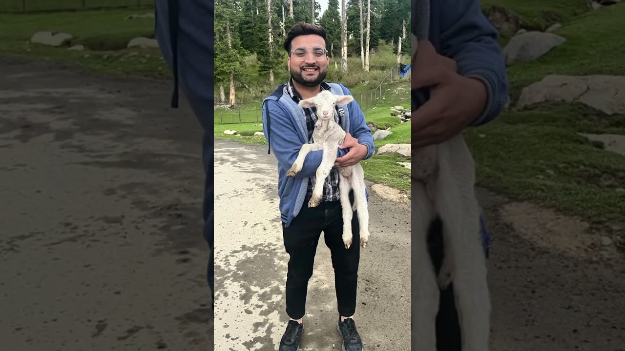 No caption needed the picture speaks for itself ❤#shorts #viral #youtubeshorts #kasmirvibes❤️