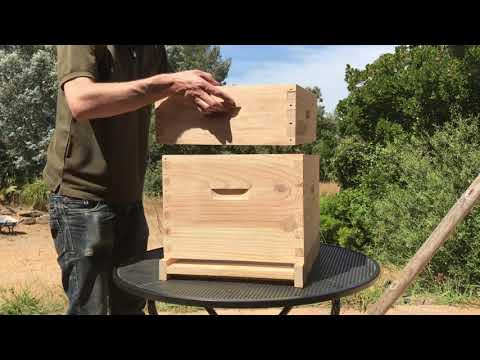 Débuter en apiculture. : ruche Dadant 10 cadres, éléments et assemblage