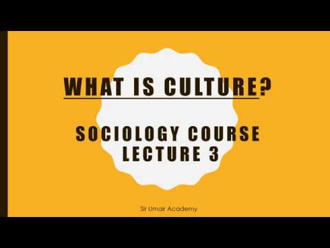 What is Culture | Definition of Culture | Culture & Society | Sociology Lectures Urdu / Hindi