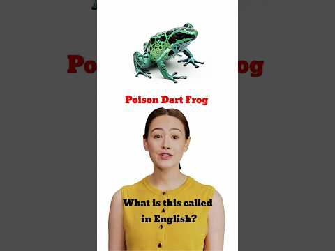 Small but deadly ☠️ Can you name these CREATURES in English?#Wildlifevocab #Tier1Shorts