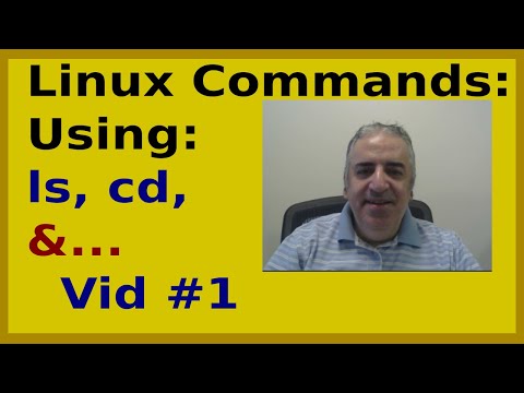 1-How To Use Linux Commands: pwd, ls, clear, cd, and date.